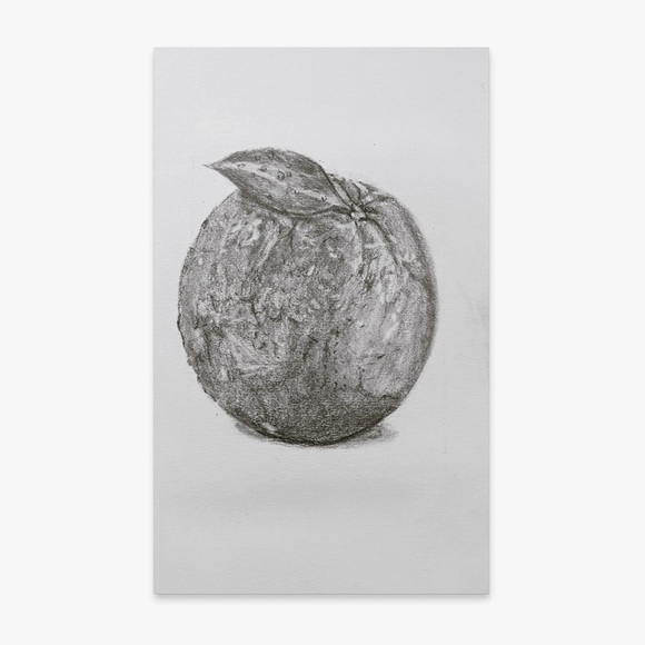 Art | Original Graphite Pencil Still Life Realism Fruits Orange ...